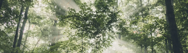 TM66 Explained: How Lighting Scheme Is Driving Circular Economy